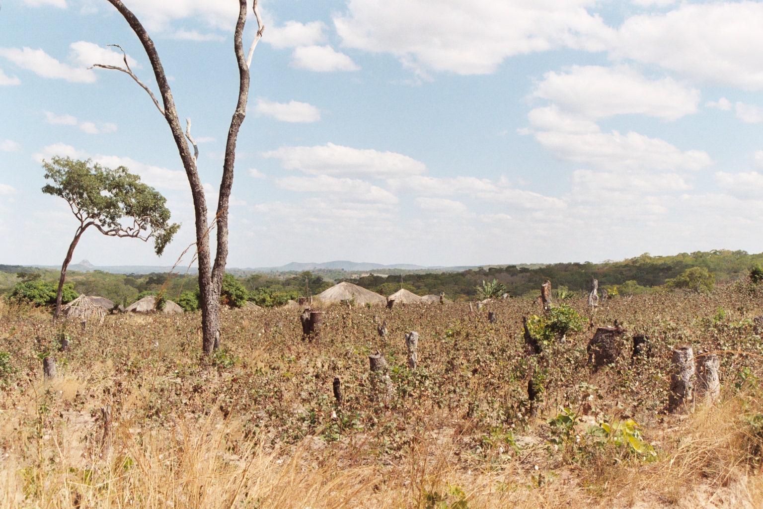 Unsustainable Deforestation - vrogue.co Unsustainable Deforestation - vrogue.co